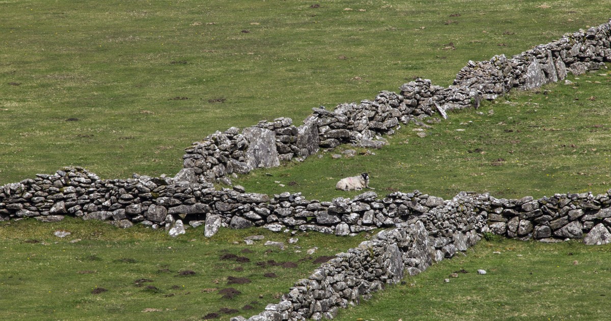 Devon and Dartmoor | Duchy of Cornwall