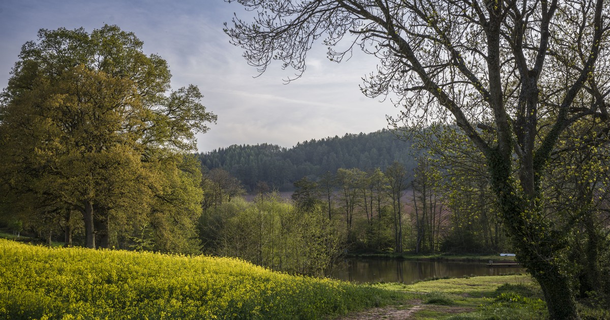 The Duchy of Cornwall achieves Gold Carbon literate organisation status ...